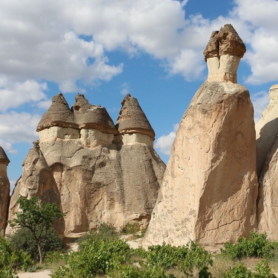Around Us - Guide de voyage - Explorons le patrimoine naturel et ...