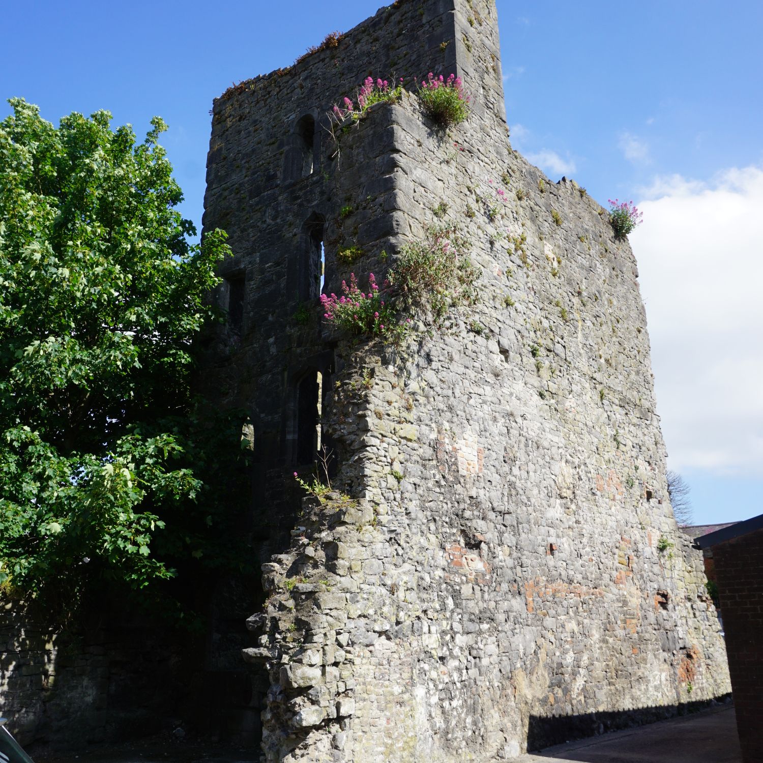 Fanning's Castle - Medieval tower house in Limerick, Ireland