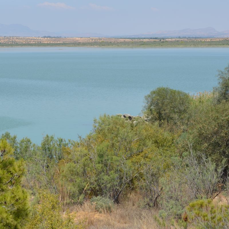 Barrage Sidi Saad - Barrage et site Ramsar dans le Gouvernorat de ...