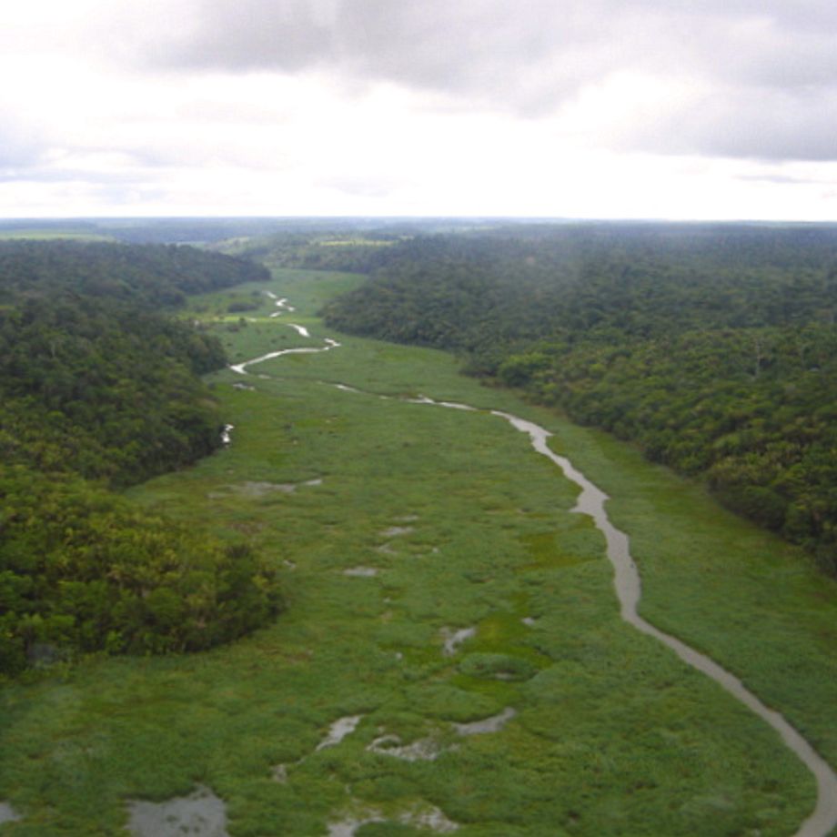 Côte de la découverte – Réserves de la forêt atlantique - Réserves ...
