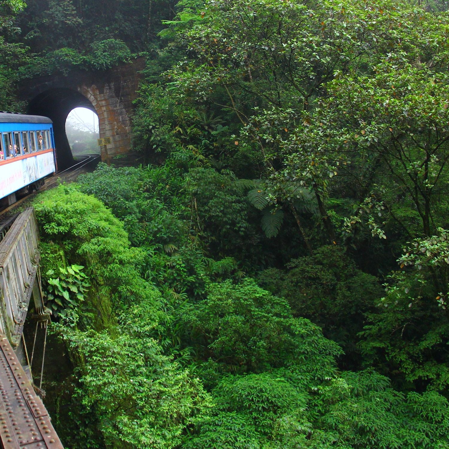 Serra Verde Express - Train touristique à travers les montagnes Serra ...
