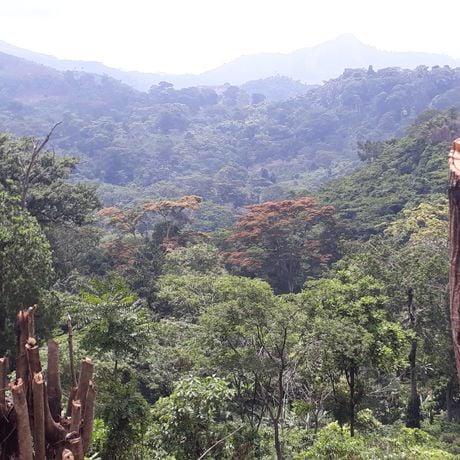 Les Cascades Naturelles de Man - Cascades naturelles à Man, Côte d'Ivoire.