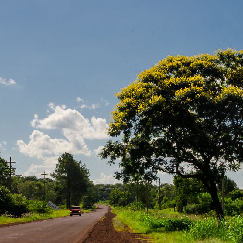 Provincial Route 17 - Provincial road in Misiones, Argentina