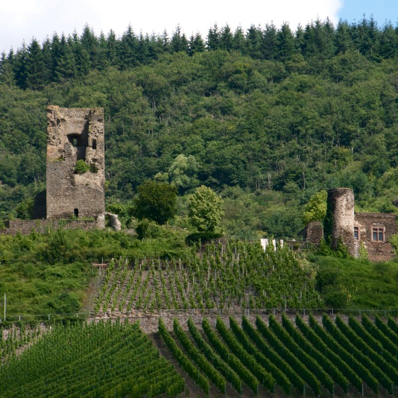 Burg Coraidelstein - Medieval castle ruins in Klotten, Germany