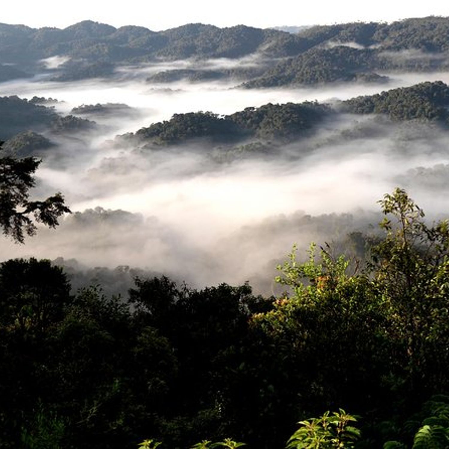 Mayumba National Park - Parque nacional marinho no sudoeste do Gabão