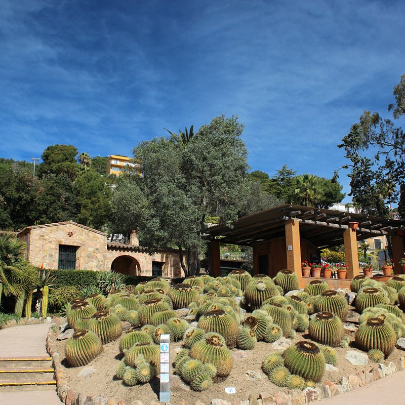 Jardí Botànic Tropical Pinya de Rosa - Botanische tuin aan de ...