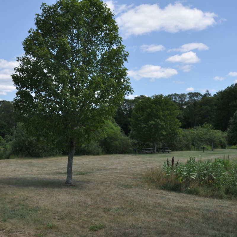 Machimoodus State Park - Parque estatal en East Haddam, Connecticut ...