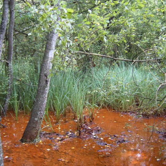 Raidillon de l'Eau Rouge - Virage de course au Circuit Spa ...